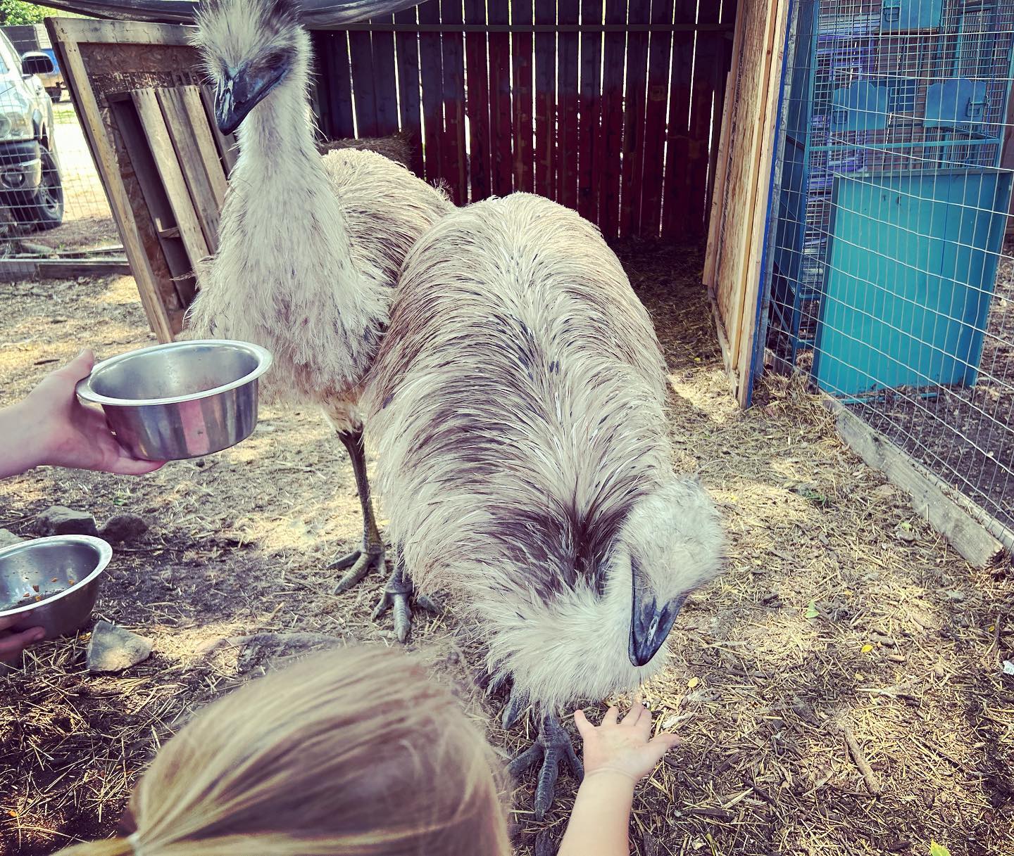 Tours - Legendary Acres Hobby Farm